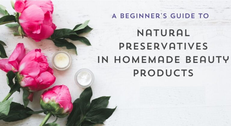 Natural Preservatives-Beginner’s Guide to Natural Preservatives
