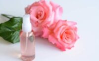 Everything you need to know about Rose Water beauty