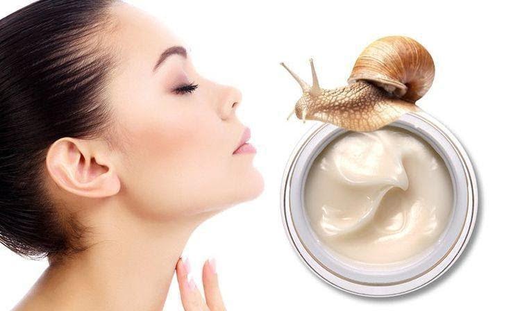 Excellent Skin Benefits of Snail Slime - Skincare Top News