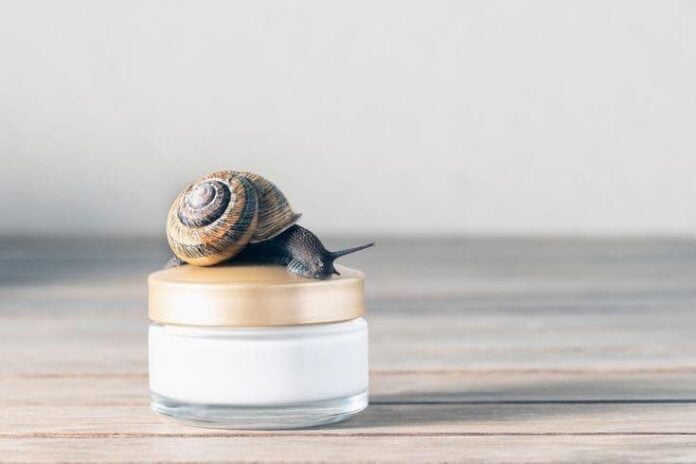 Excellent Skin Benefits of Snail Slime - Skincare Top News
