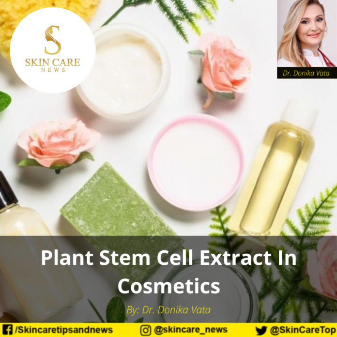 Plant Stem Cell Extract In Cosmetics
